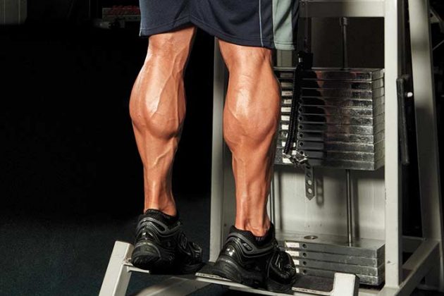 Exercices mollet : 3 circuits d'entrainement Musculation