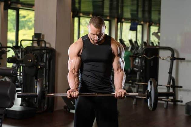 Biceps Brachial : Séance d'Entrainement pour Muscler la Longue Portion